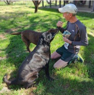 Arizona Legislative District 17 Democrats