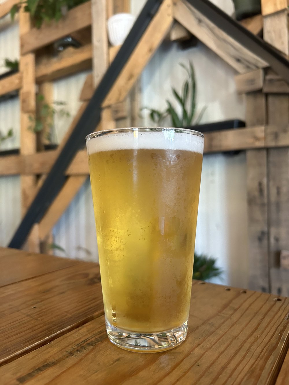 General 3 — Main Line Brewery