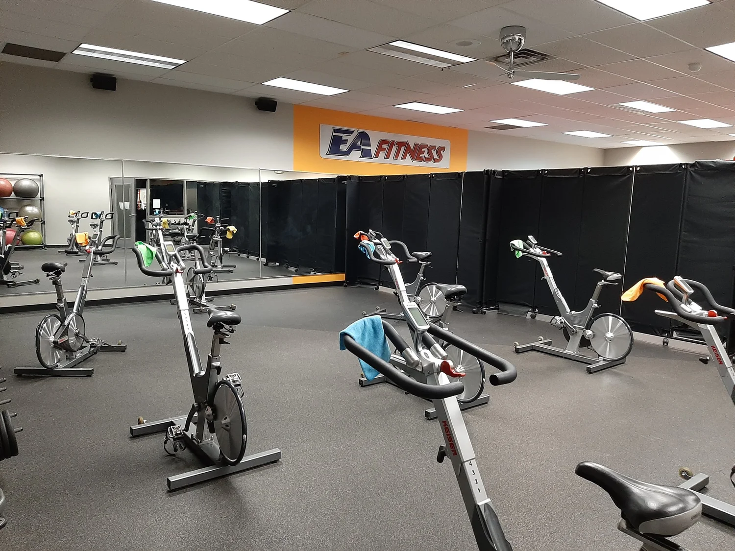 EA Fitness