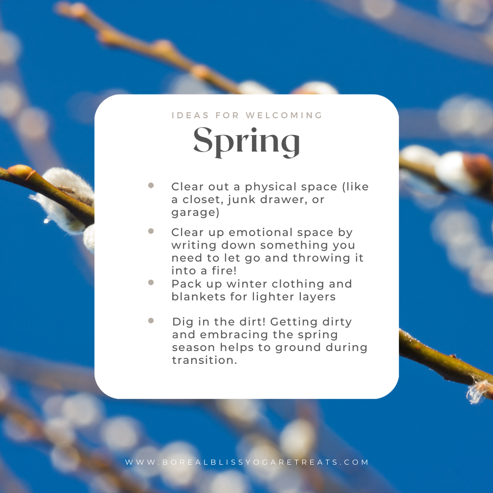 Welcoming the New Season! — Boreal Bliss Yoga Retreats