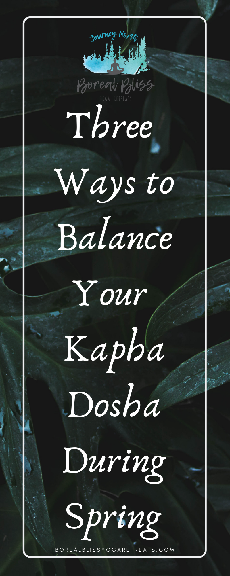 3 Ways to Balance Kapha — Boreal Bliss Yoga Retreats