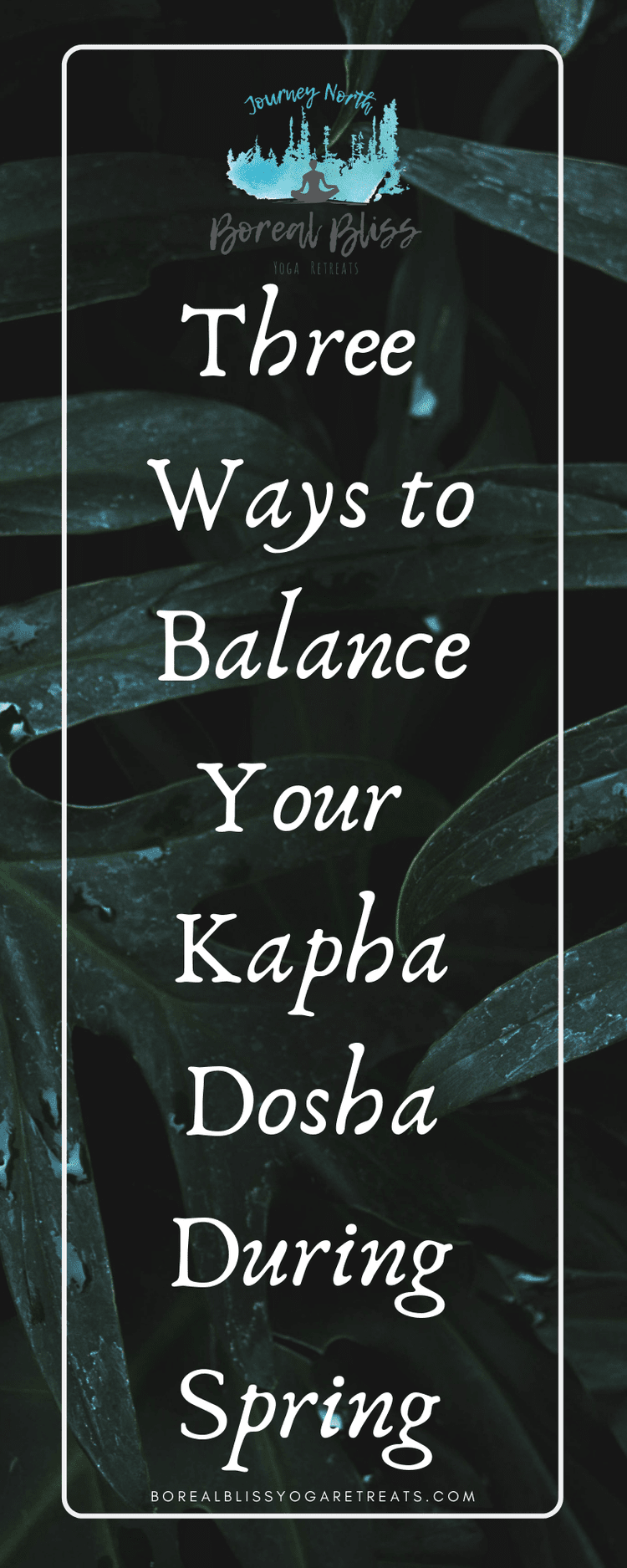 3 Ways to Balance Kapha — Boreal Bliss Yoga Retreats