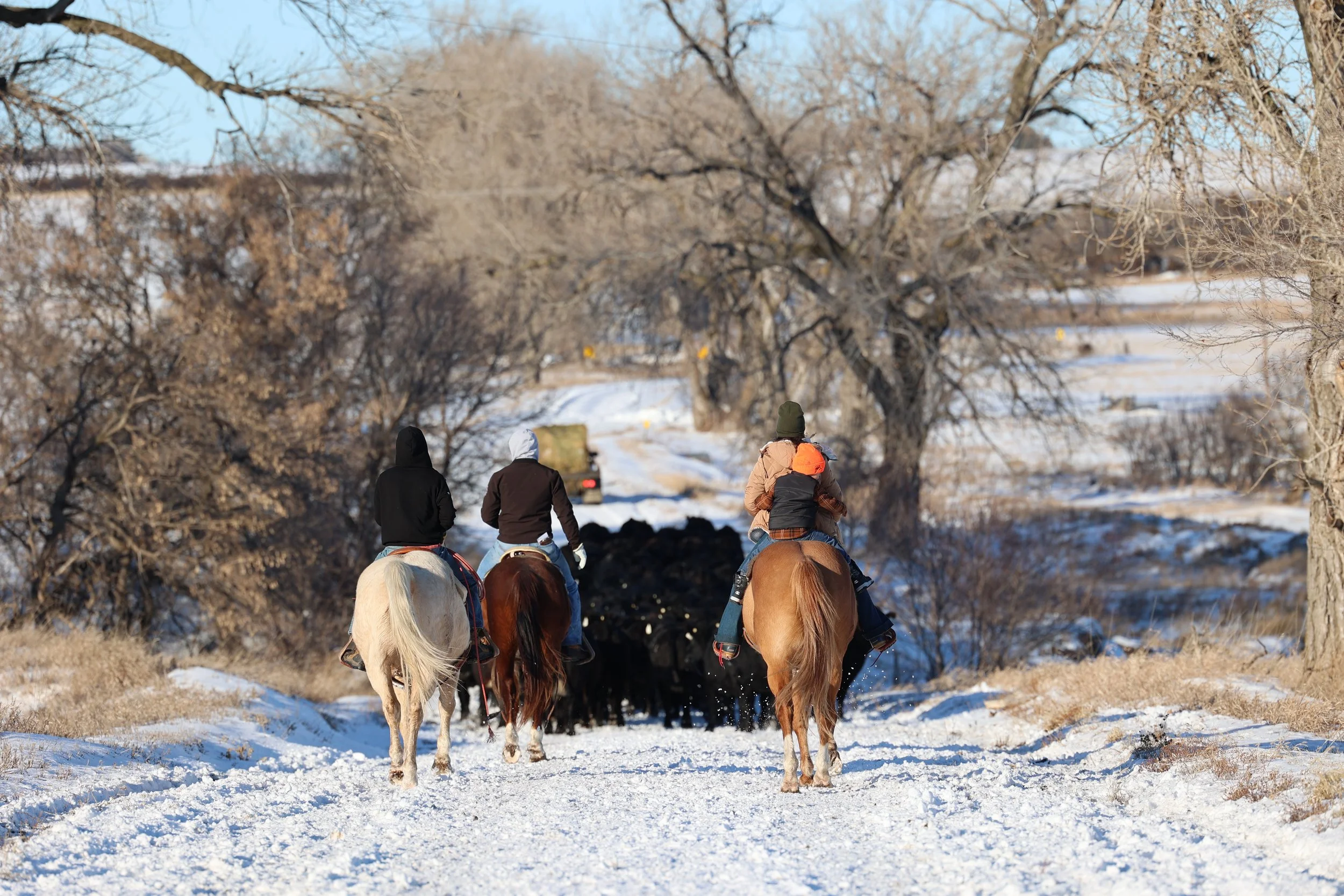 Our Story — Biggins Cattle Company