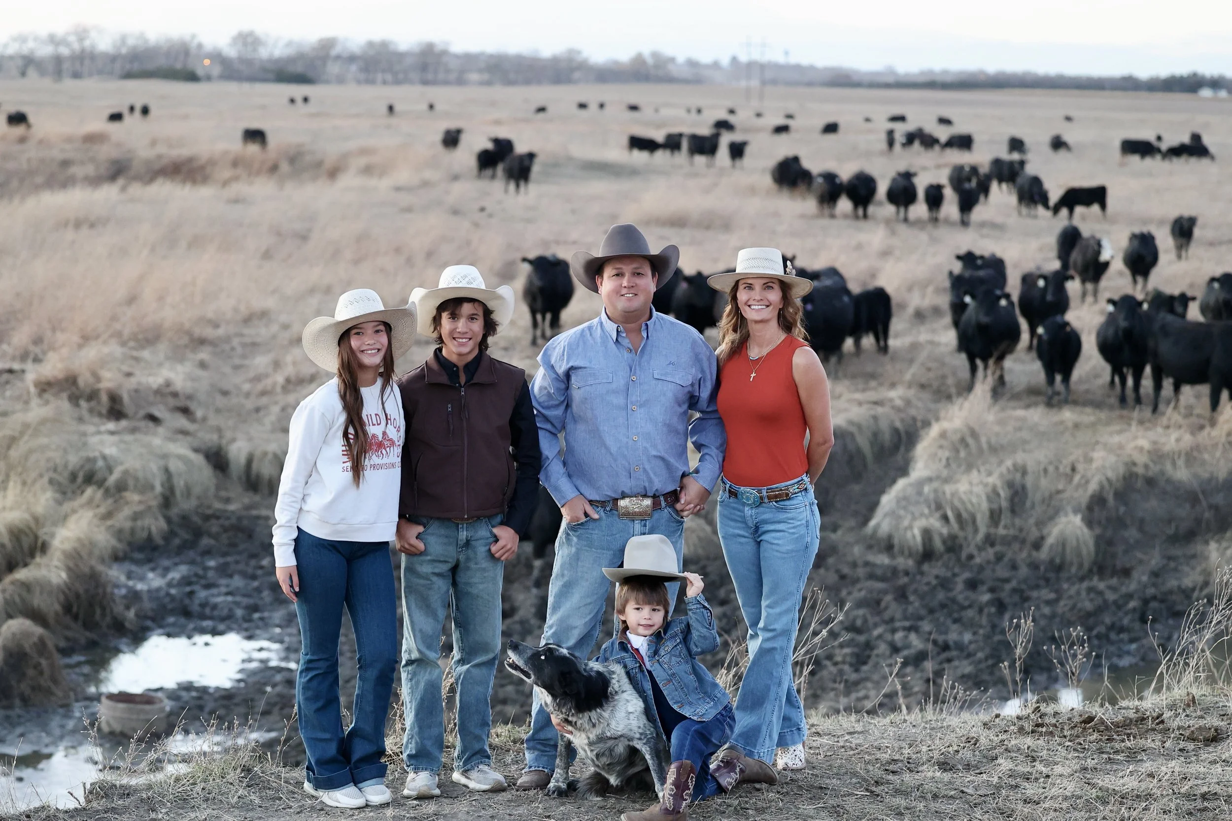 Biggins Cattle Company