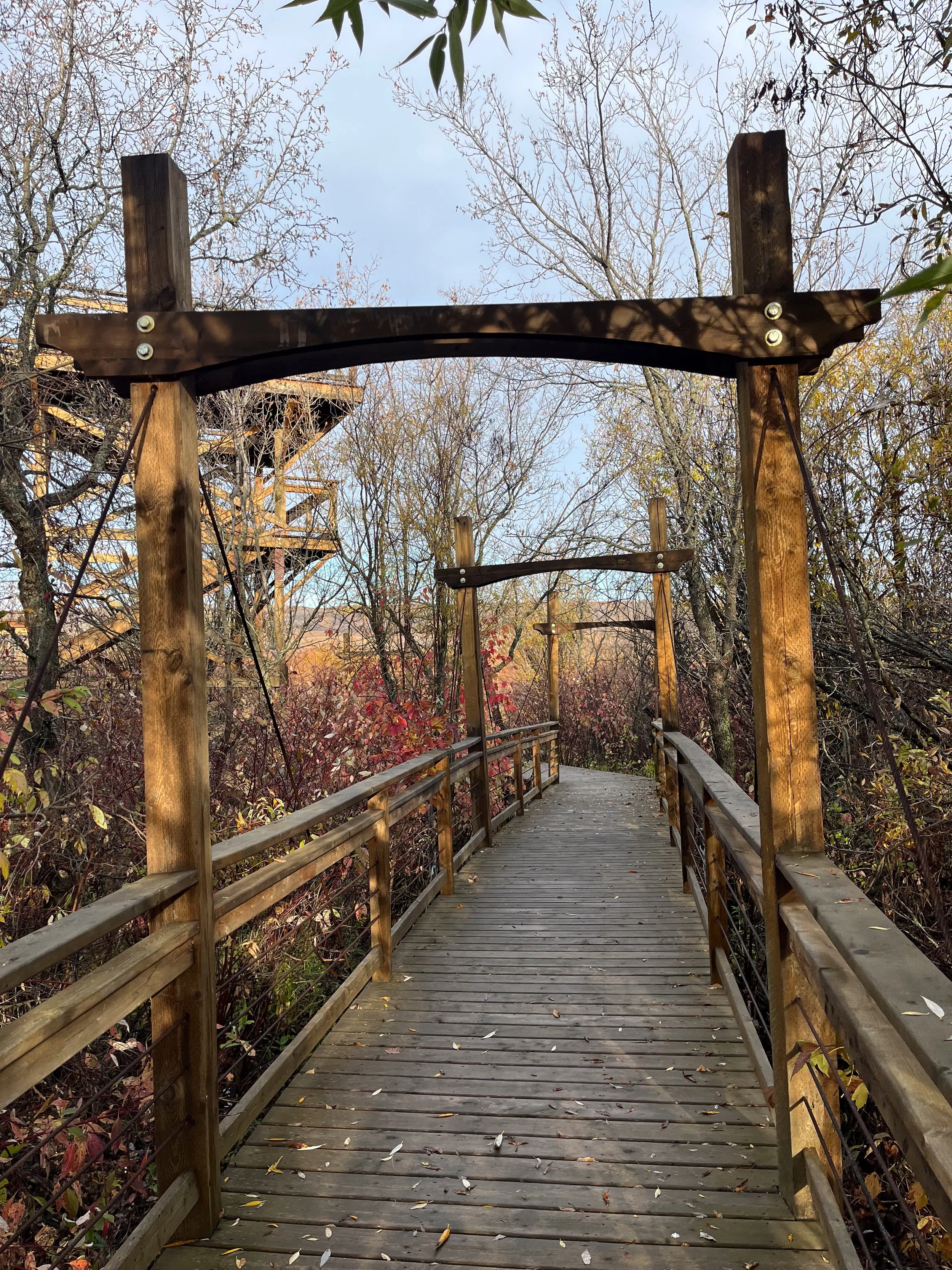 Camp Schedule & Registration — Shekinah Retreat Centre
