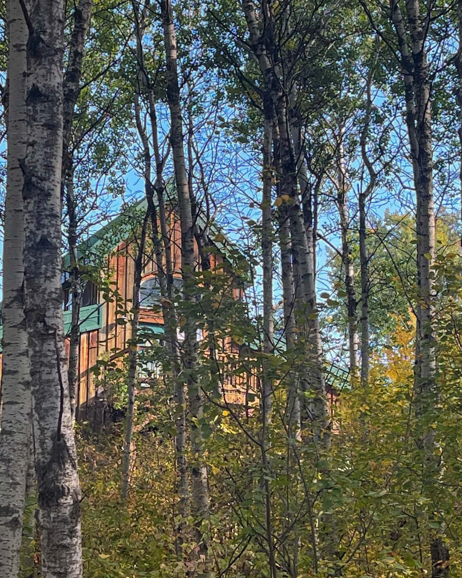 Pond Cabins — Shekinah Retreat Centre