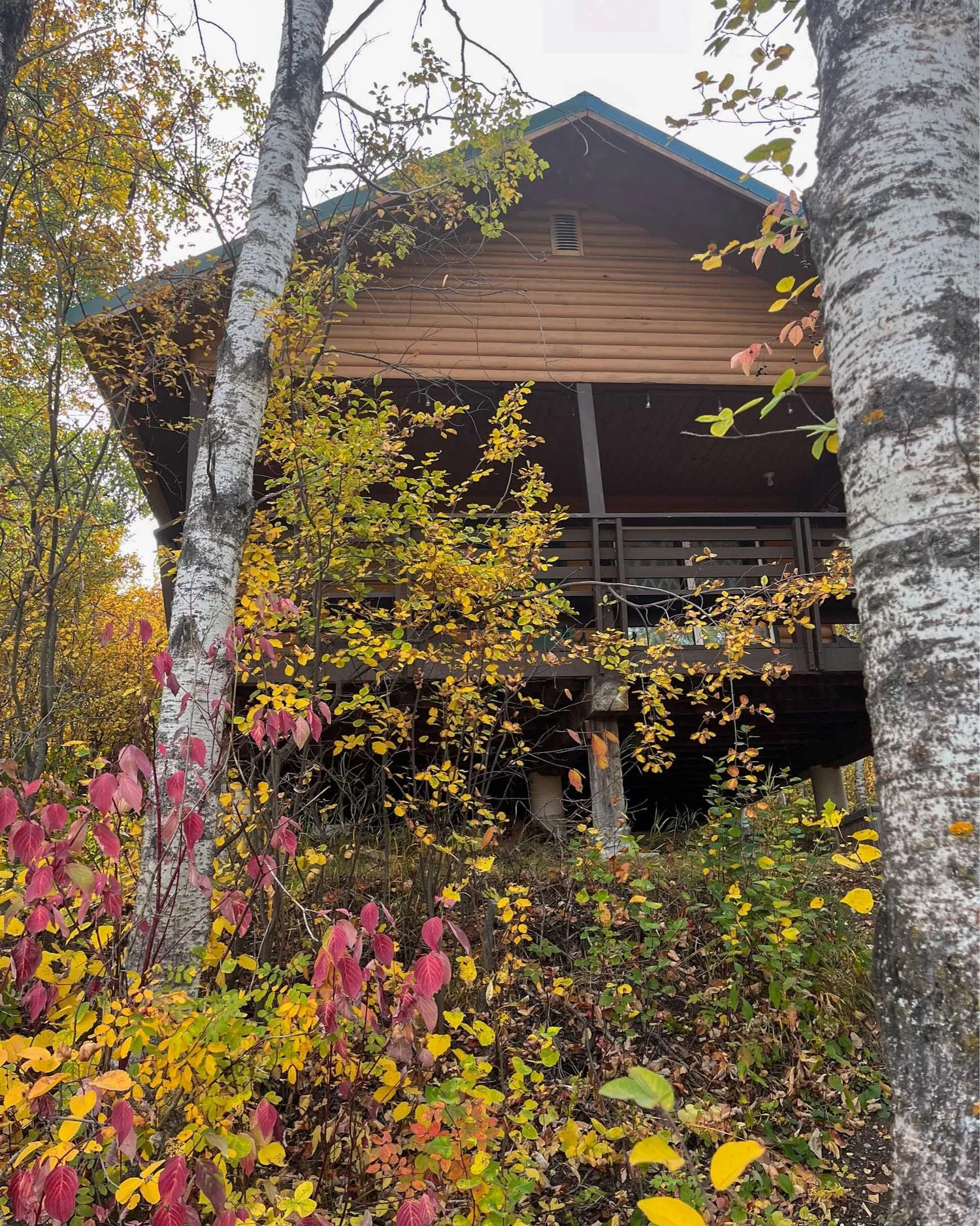 Pond Cabins — Shekinah Retreat Centre