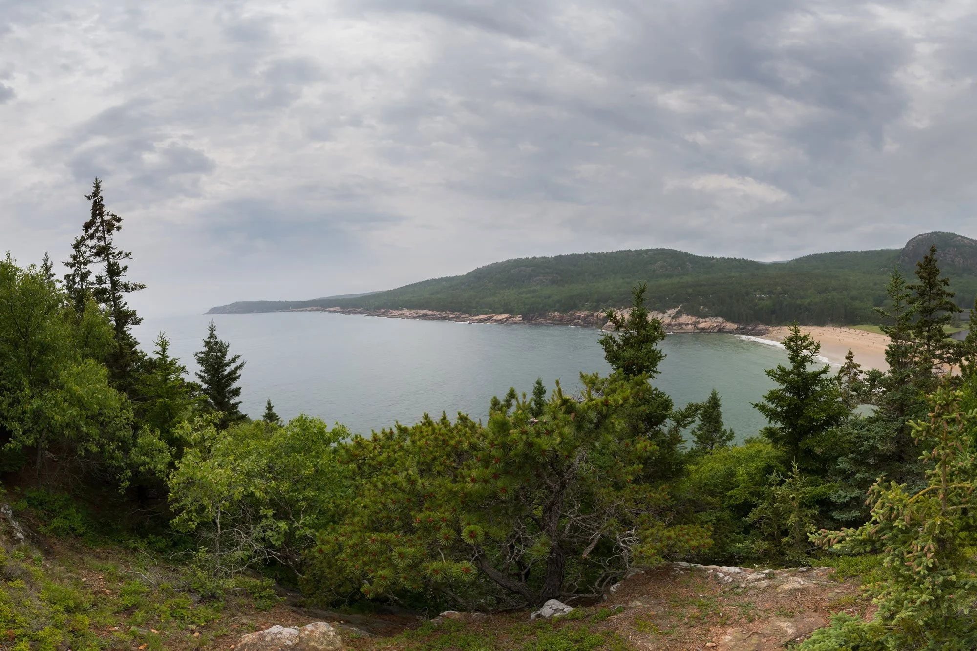 Team — Northern Maine Skin Cancer Center