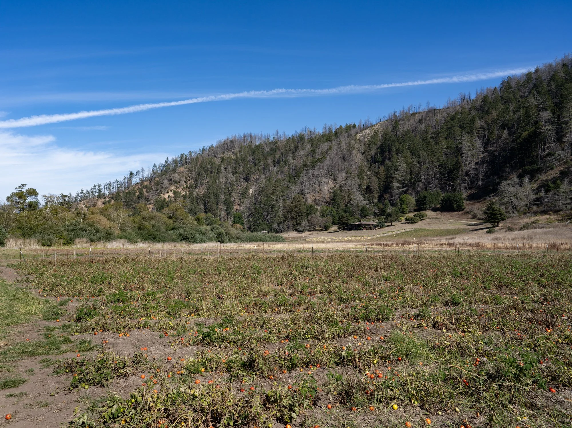 Opal Creek Farm