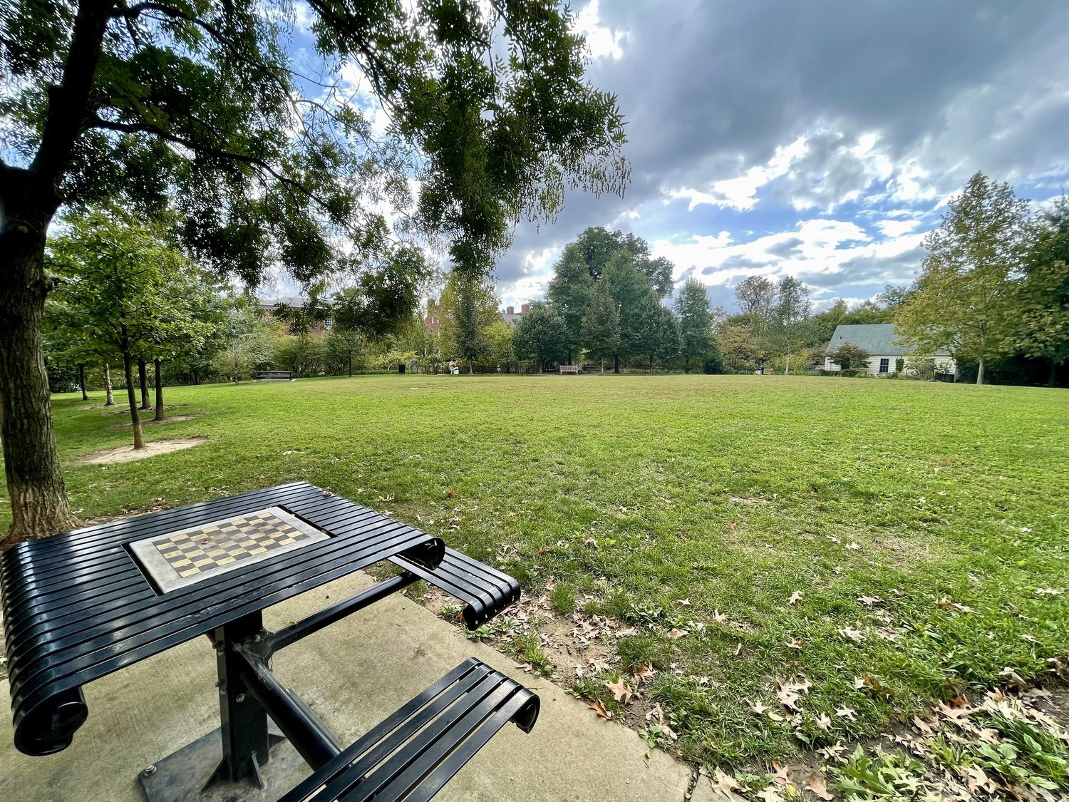 Friends of Mitchell Park