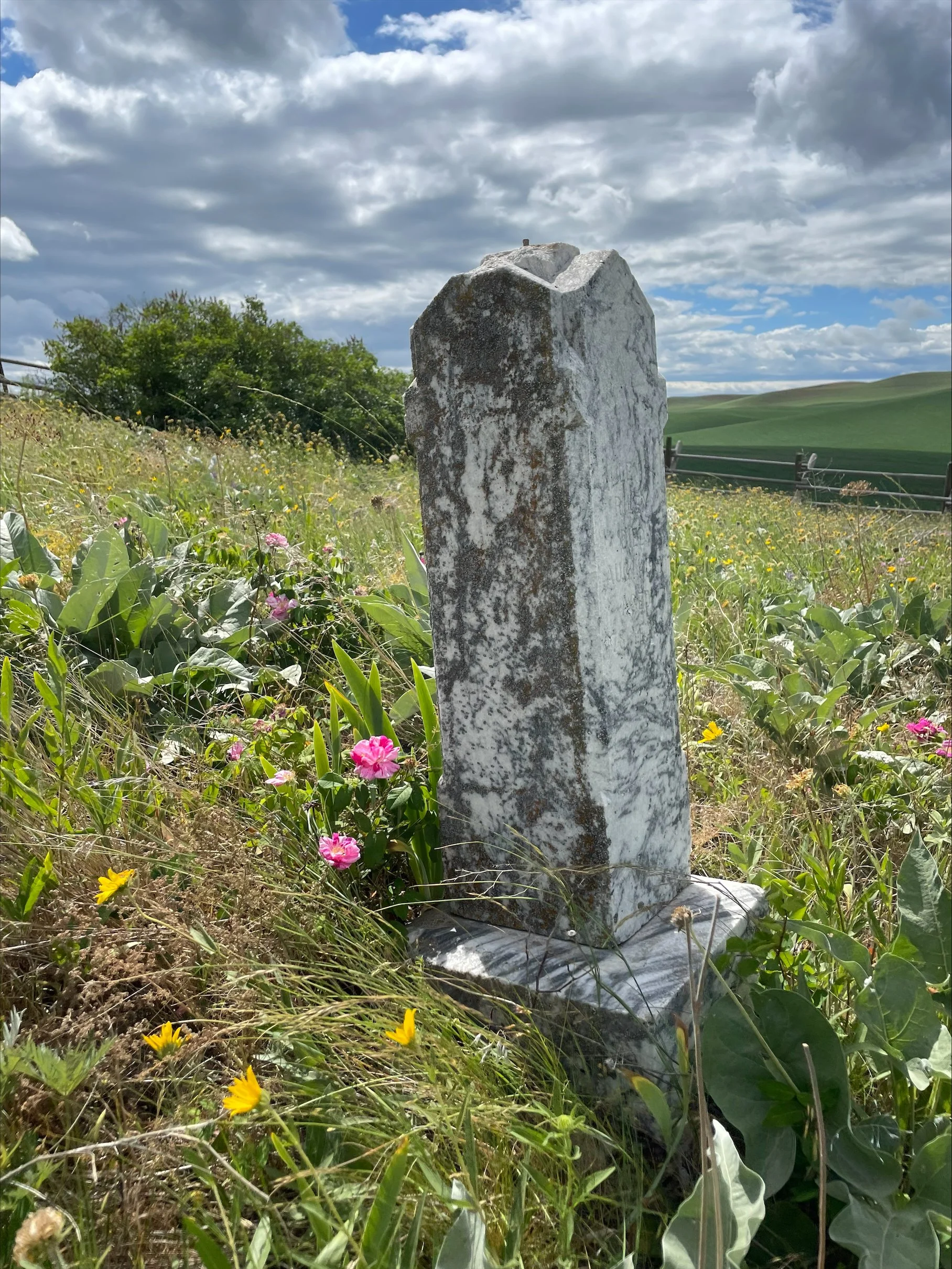 Our Vision — Constellation of Living Memorials
