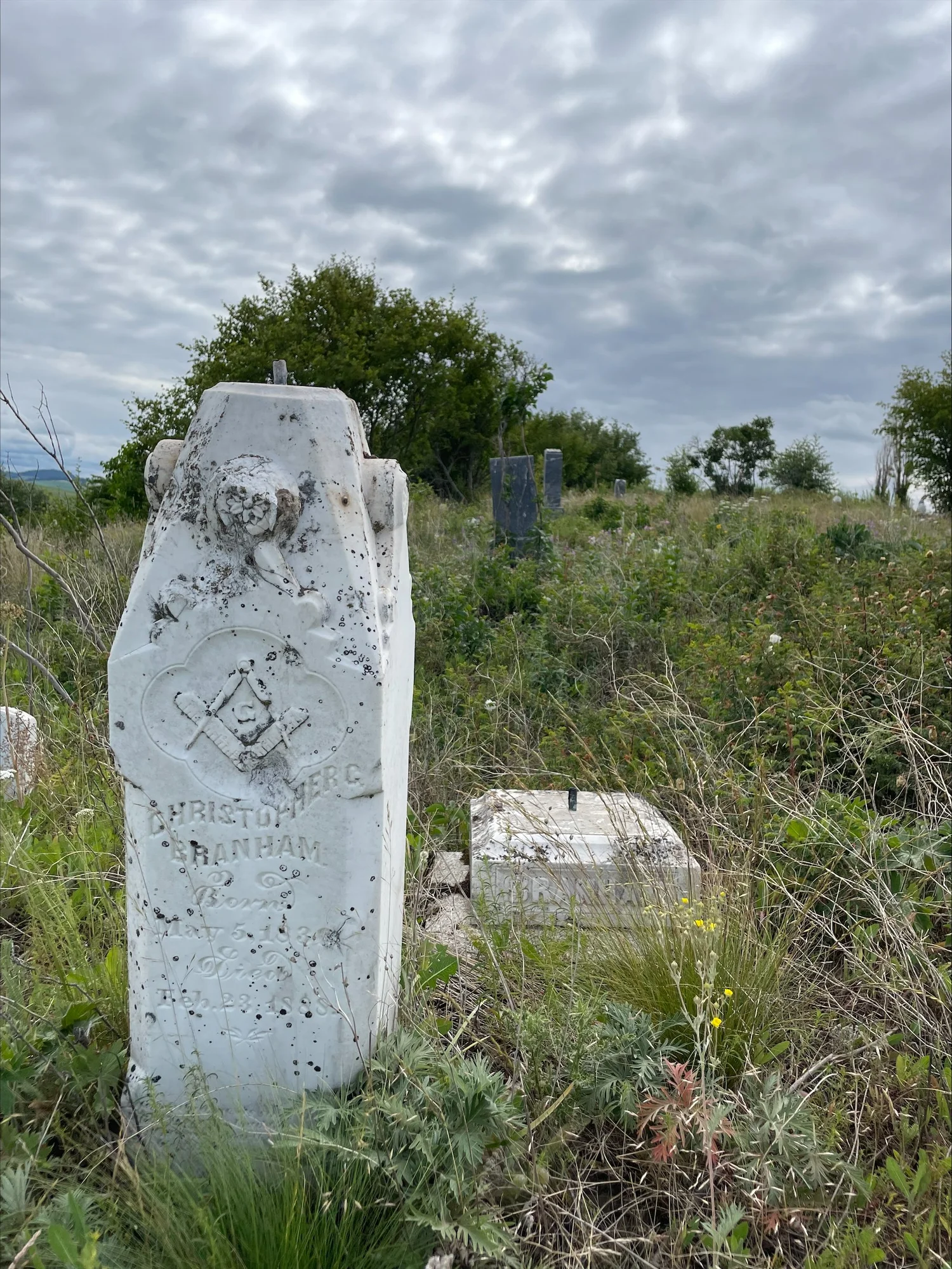 Our Vision — Constellation of Living Memorials