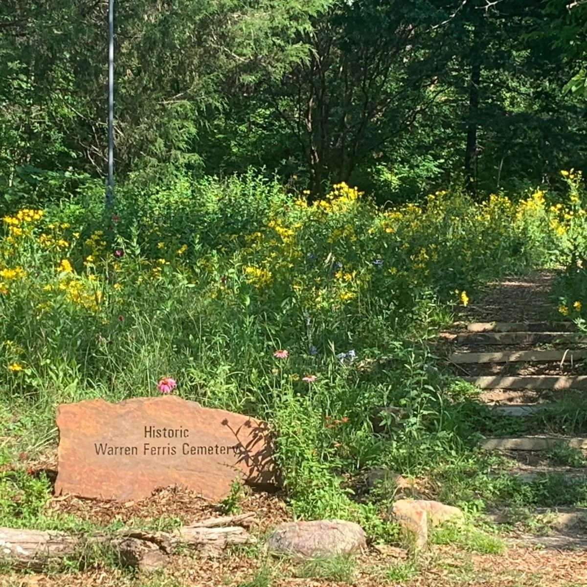 Our Vision — Constellation of Living Memorials