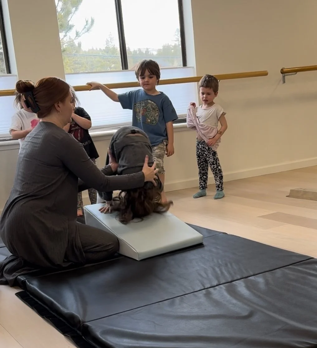 Appointments 2 — The Shire Studio