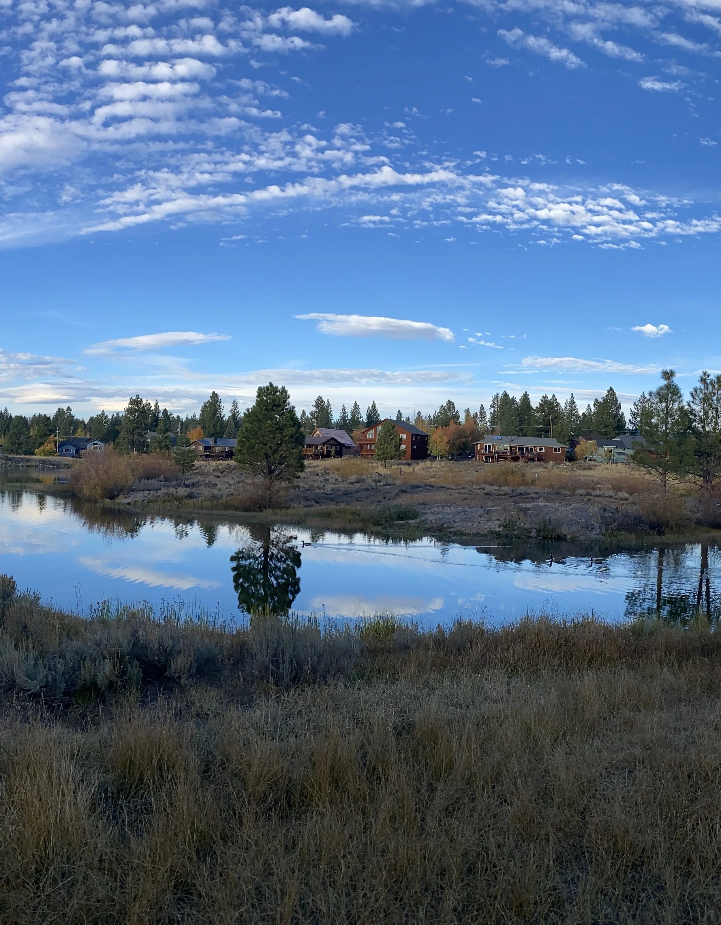 Services 1 — The Shire Studio