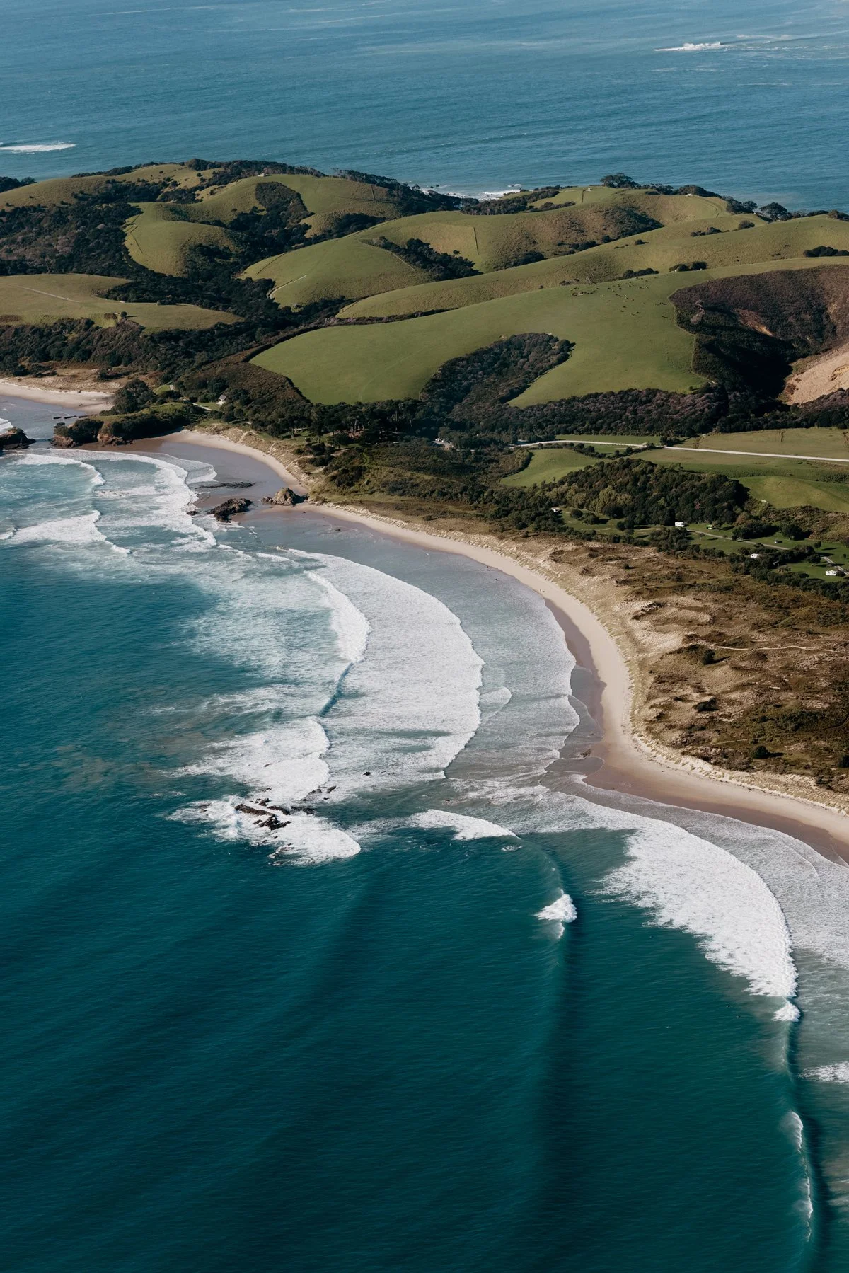 Pest Control — Skywork Helicopters Ltd | Leaders In New Zealand ...