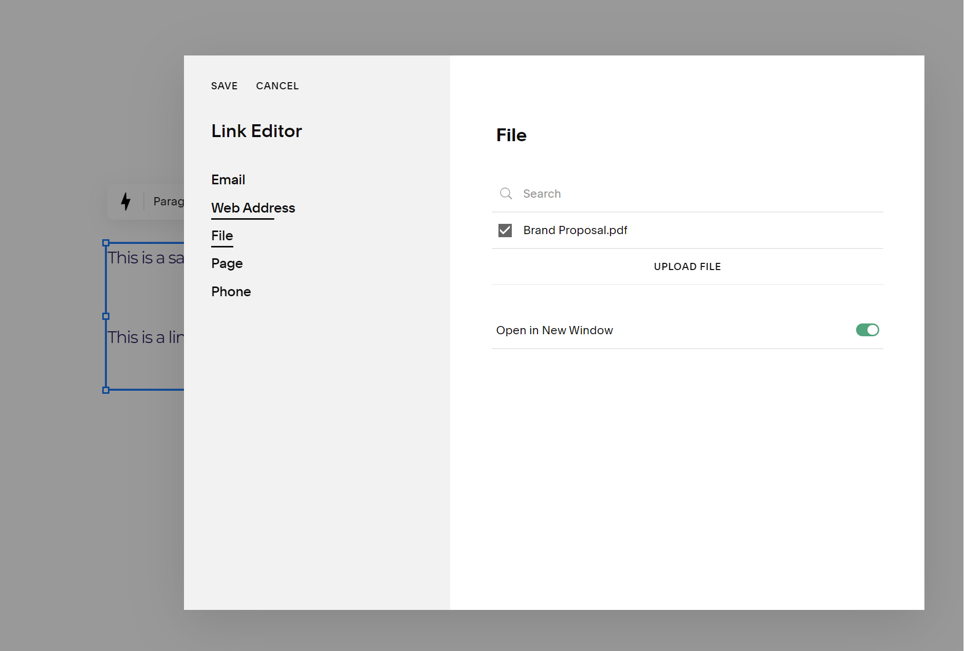 How to Easily Add a PDF to Squarespace | JPK Design Co