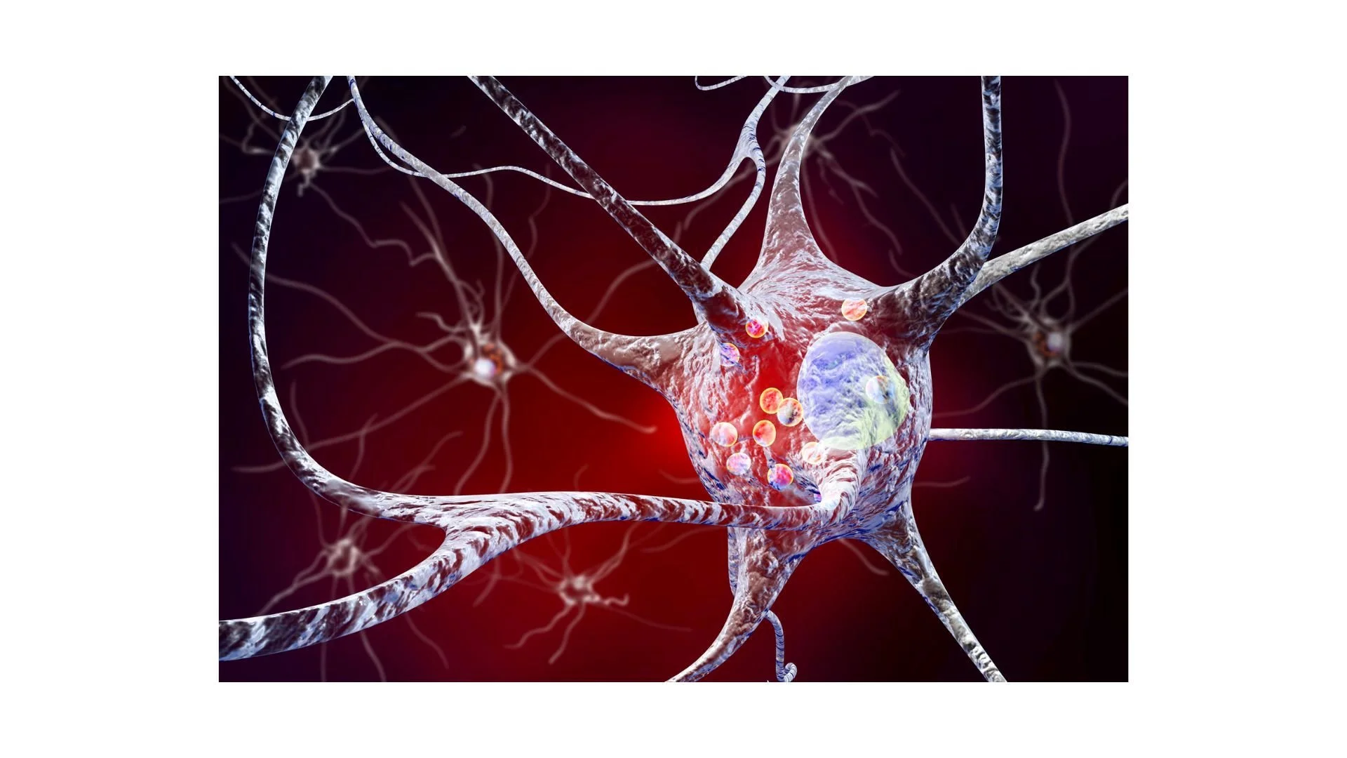 Can Lyme Disease Be Treated Holistically? — WiFiVibe :: Remote healing ...