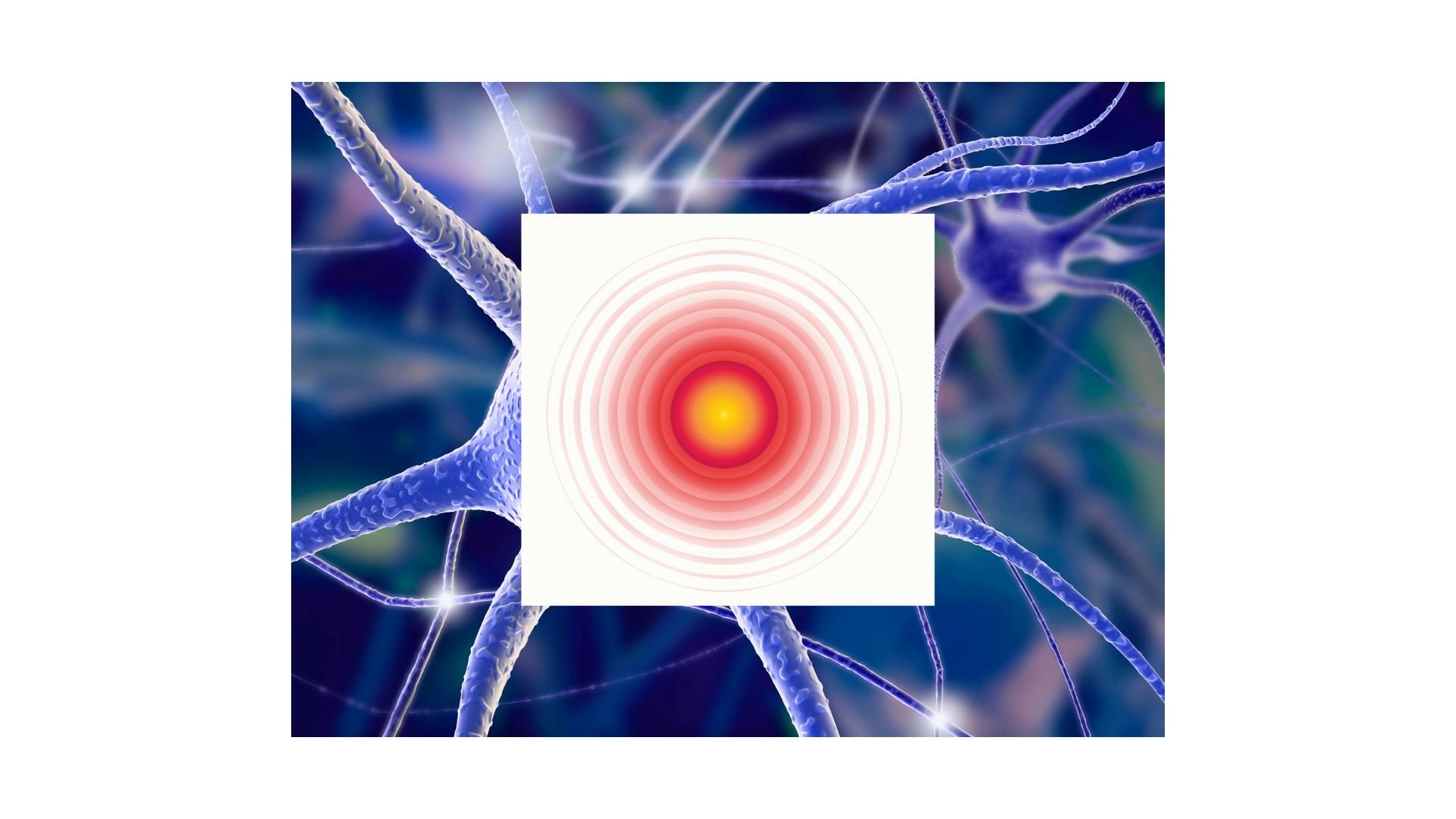 Can Lyme Disease Be Treated Holistically? — WiFiVibe :: Remote healing ...