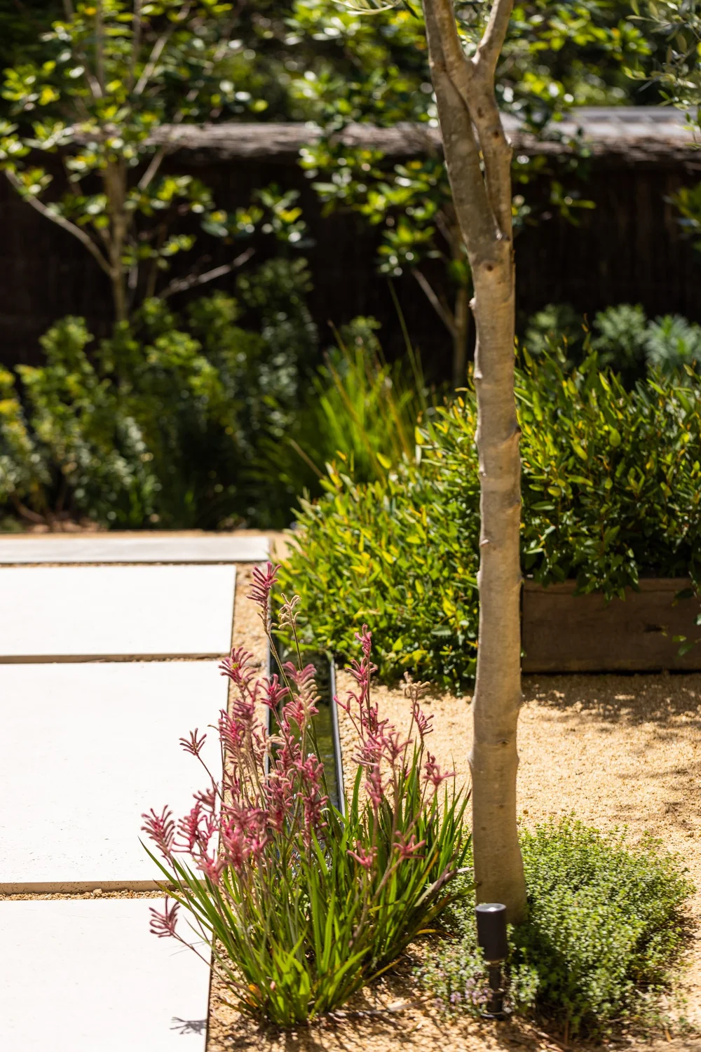 Stunning garden designs in Neutral Bay