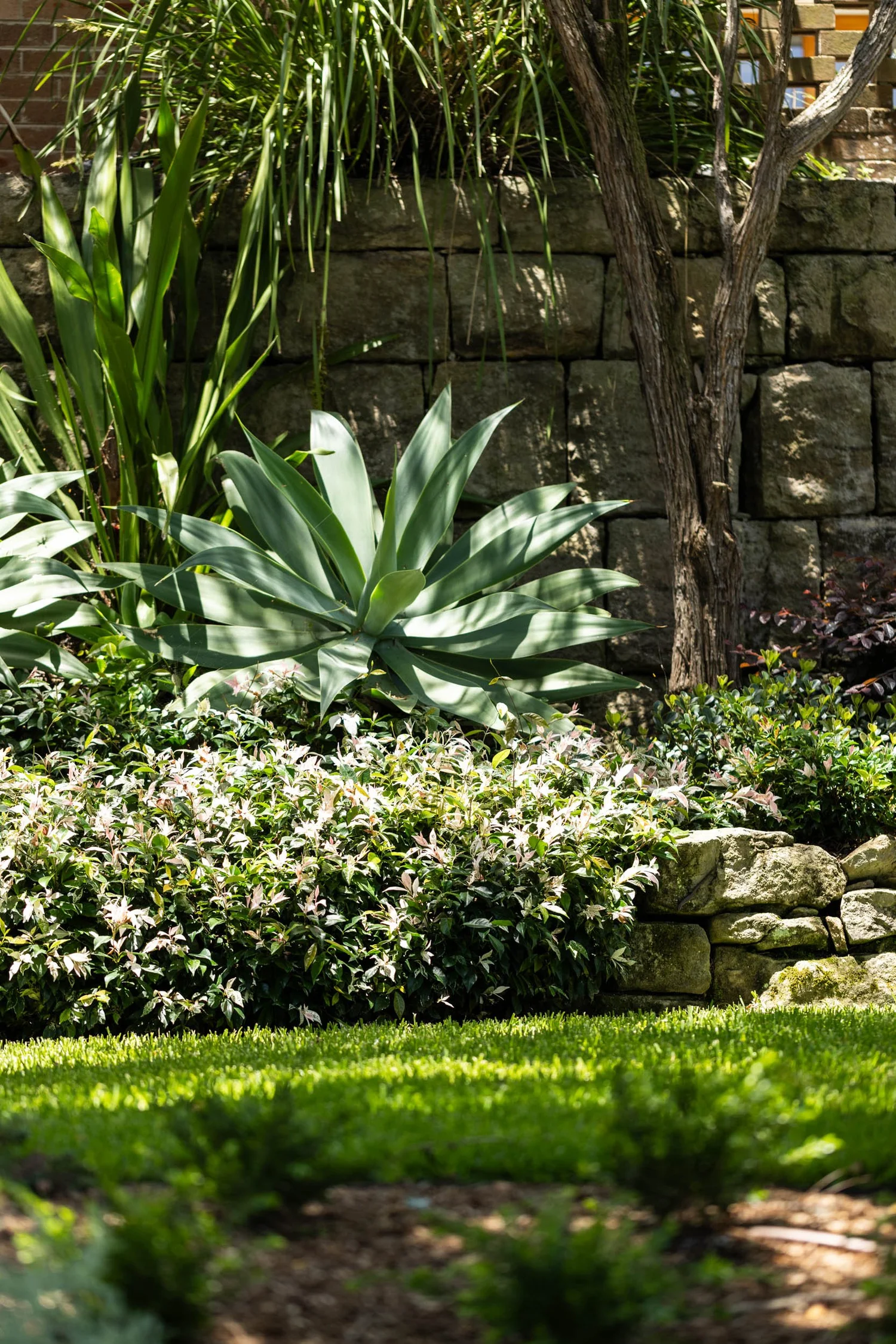 Fairlight Landscape & Pool Design – Formed Gardens