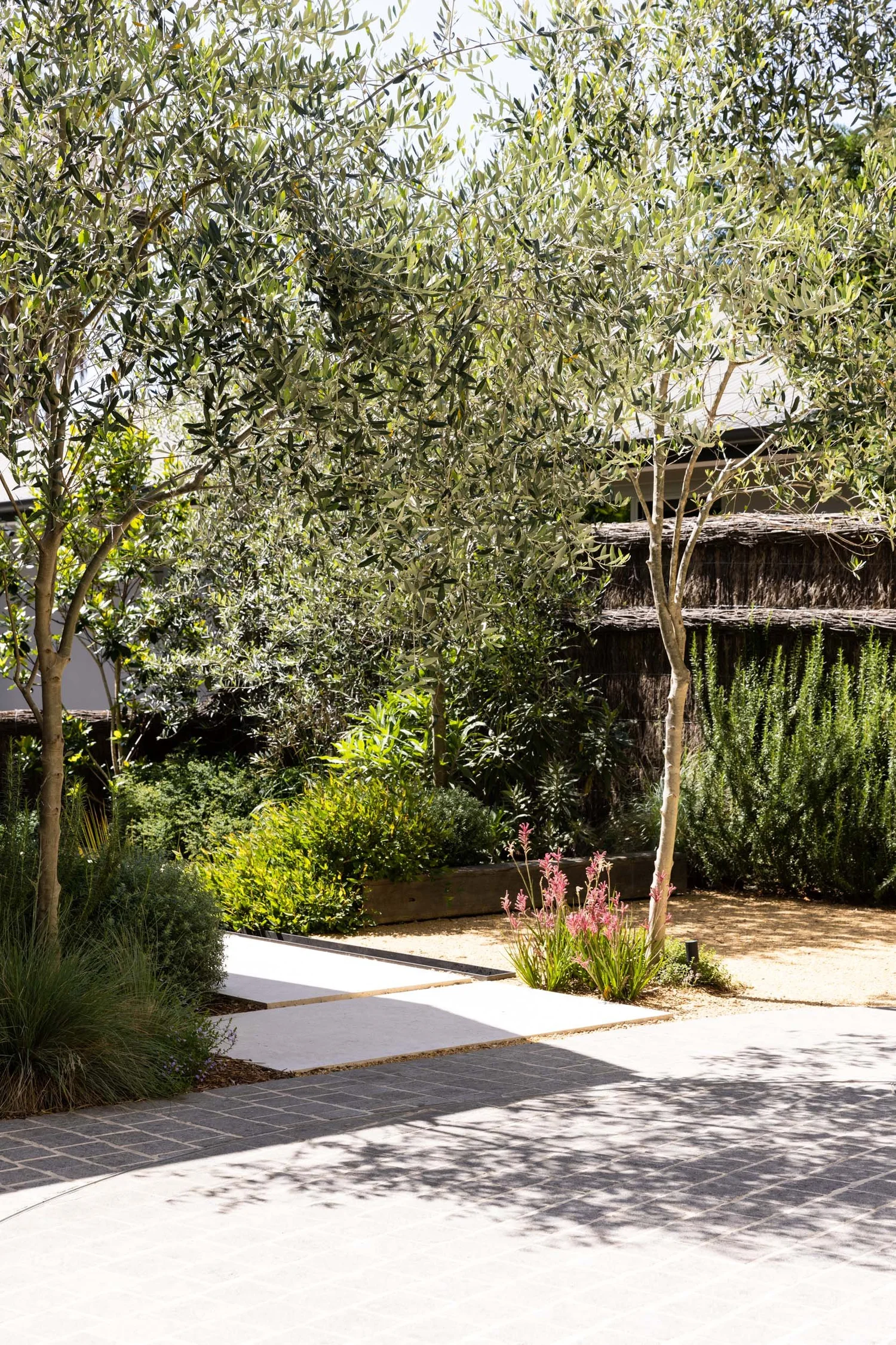 Stunning garden designs in Neutral Bay