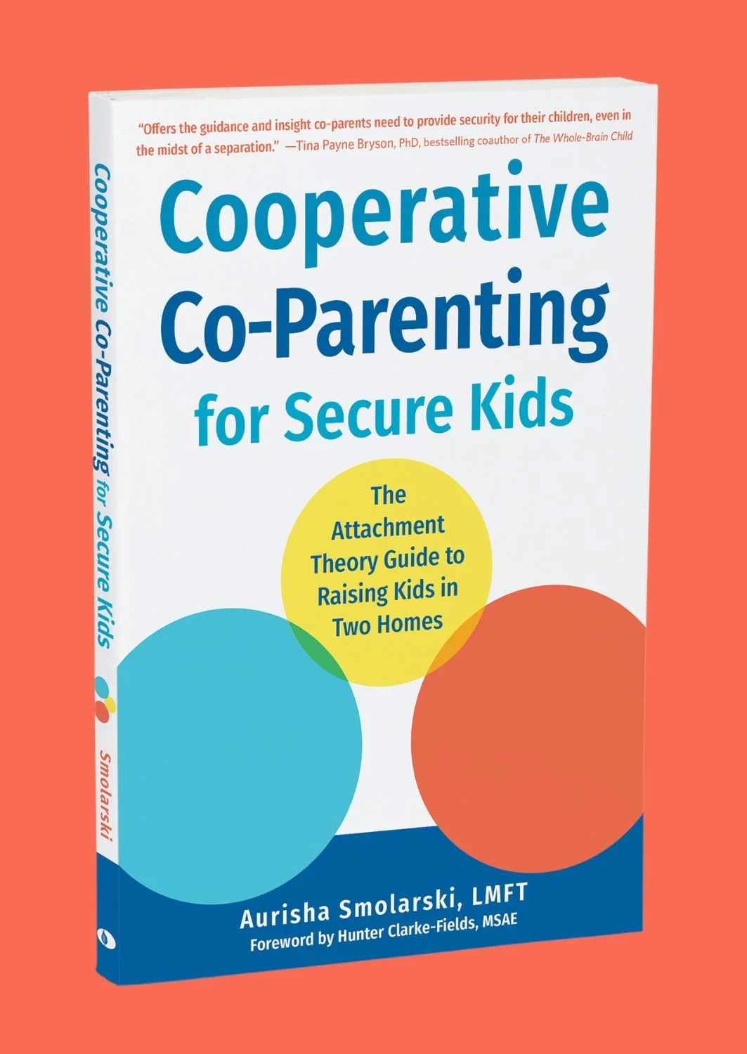 Cooperative Co-Parenting for Secure Kids: The Attachment Theory Guide ...