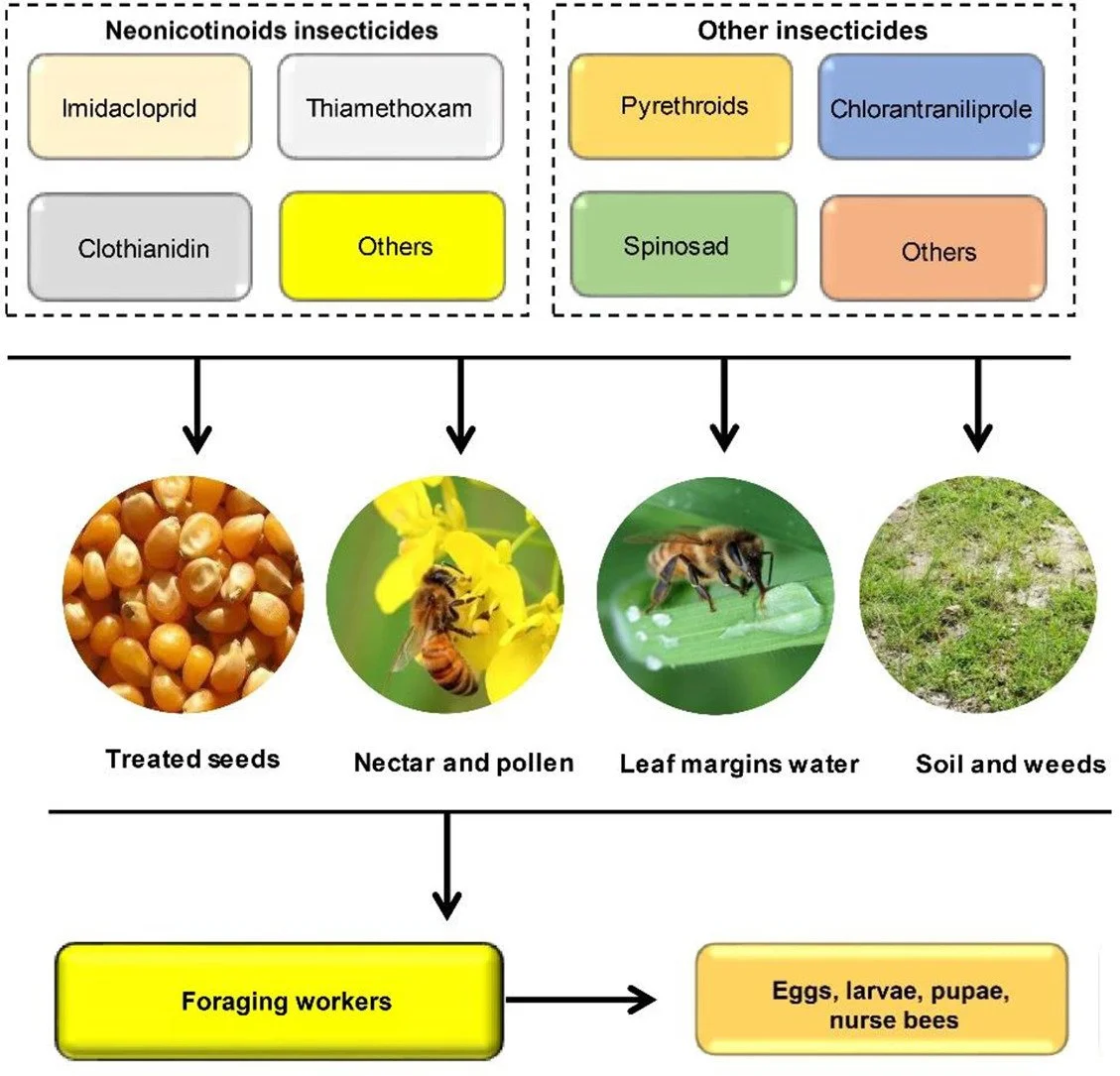 Pesticides — Marin Monarch Working Group