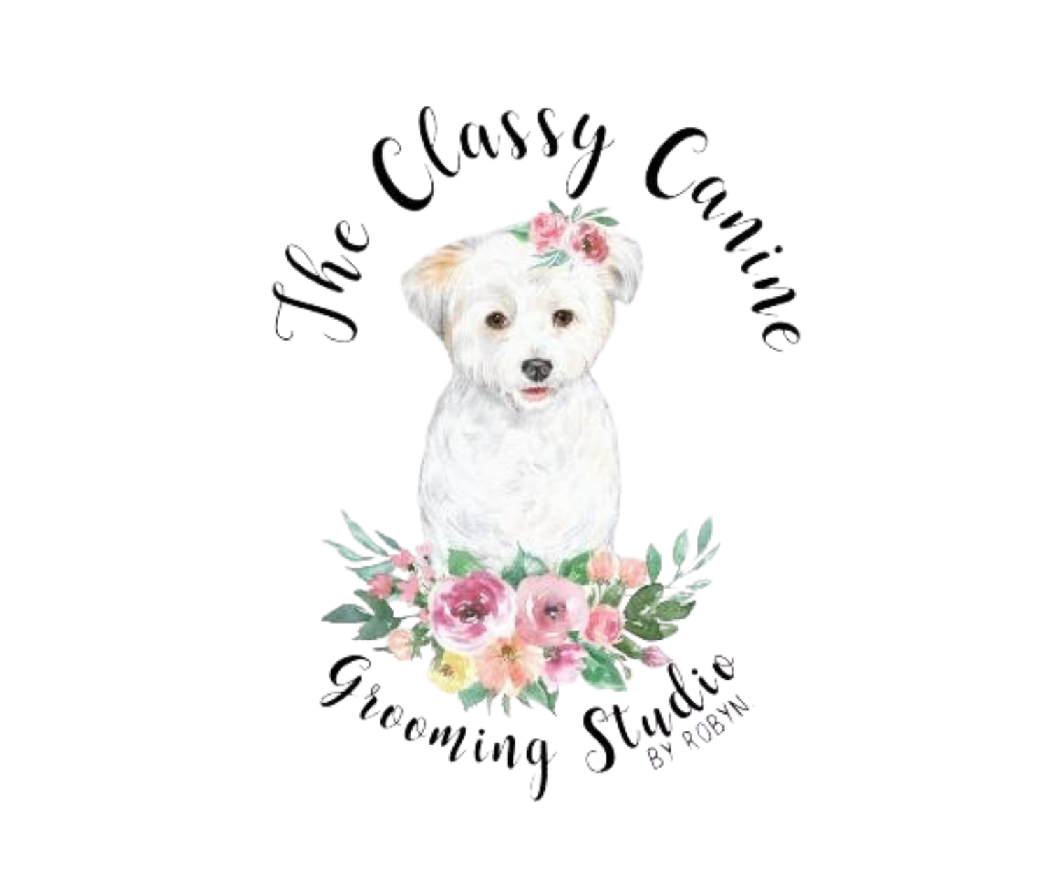 The Classy Canine - Grooming Studio
