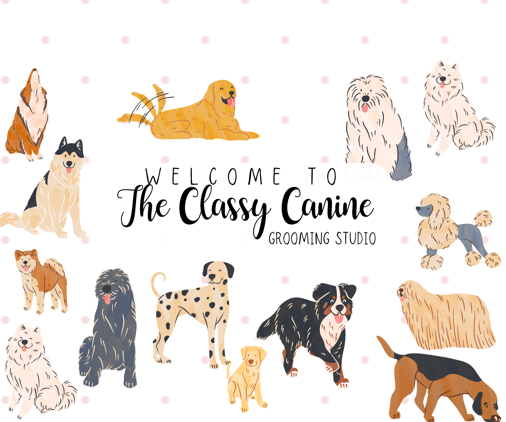 The Classy Canine - Grooming Studio