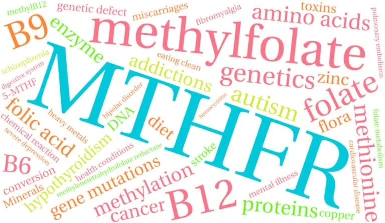 Leucovorin And Autism - Methylation, MTHFR & Autism: Understanding ...
