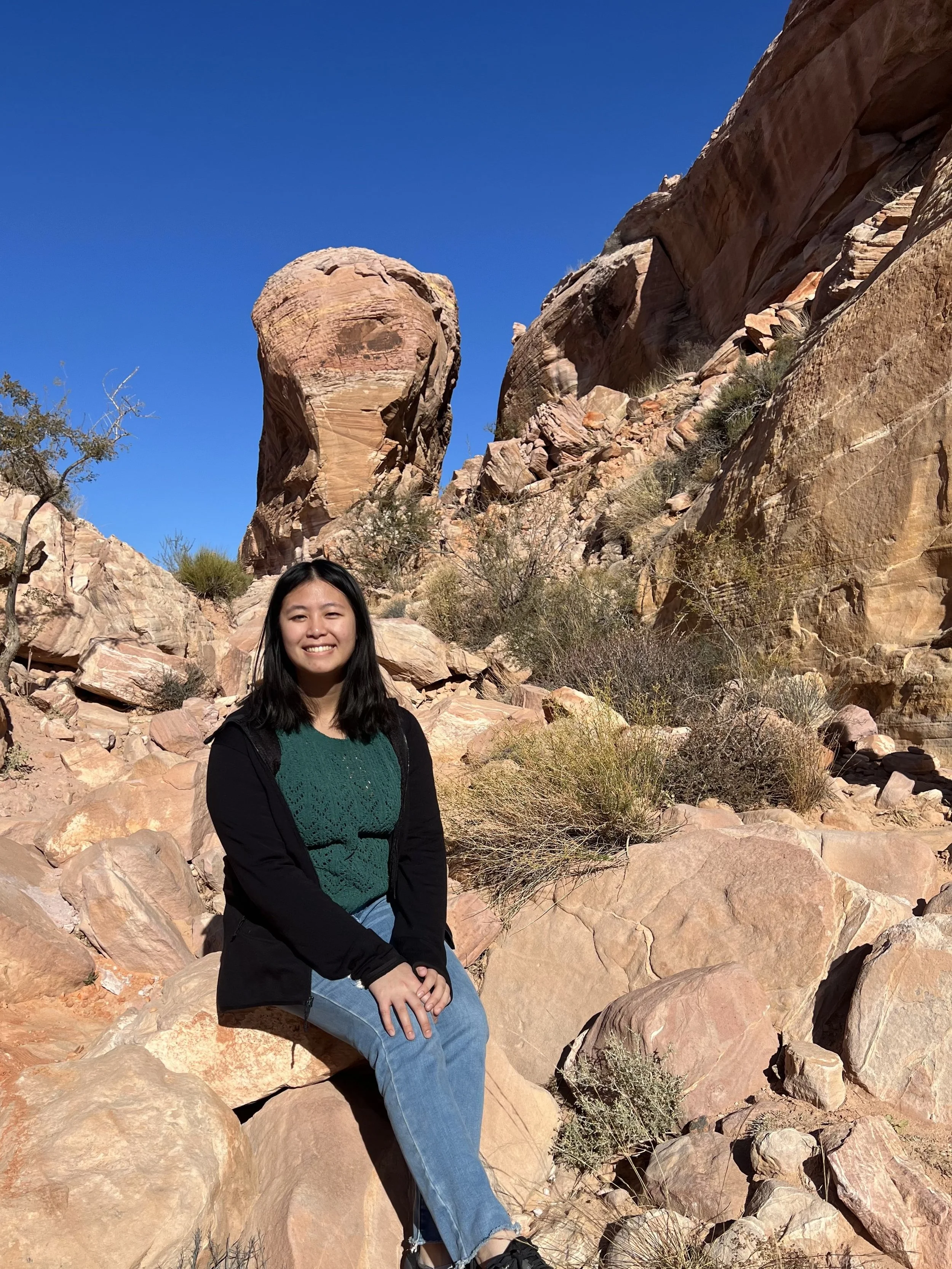 Shannon Liu — L-EAF LAB