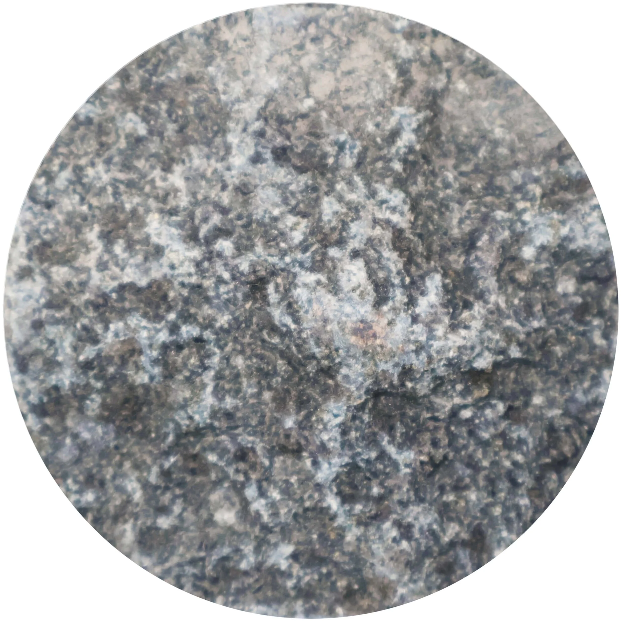 Black Swan — Stone Merchants Australia — Pavement Innovations