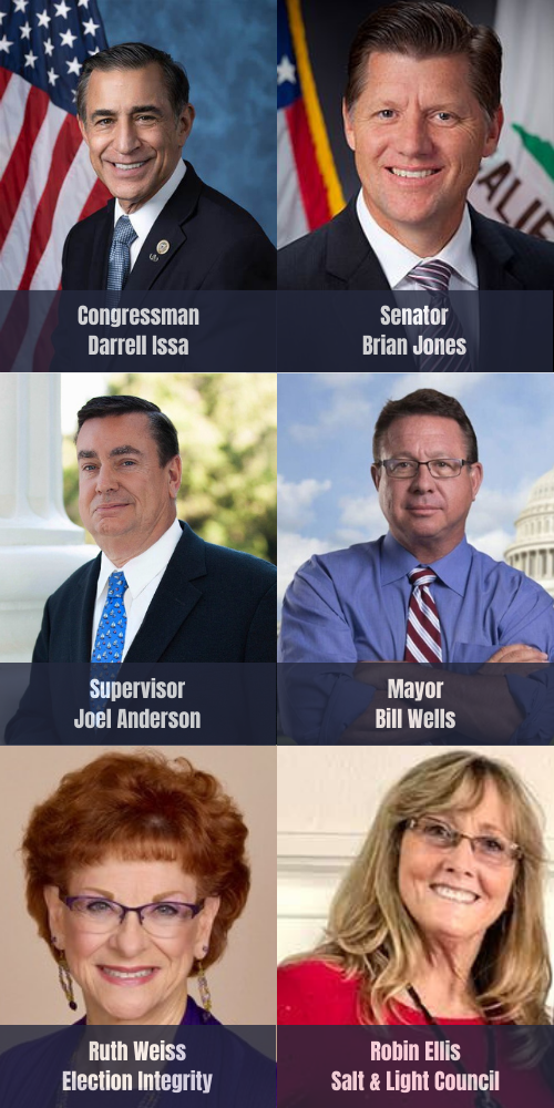 Volunteers in Politics