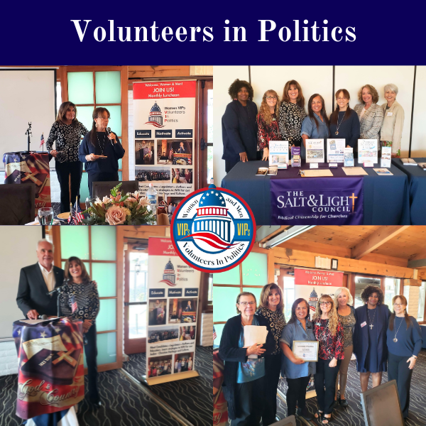 Volunteers in Politics