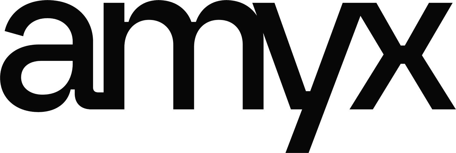 Amyx — Real Estate & Workplace Solutions