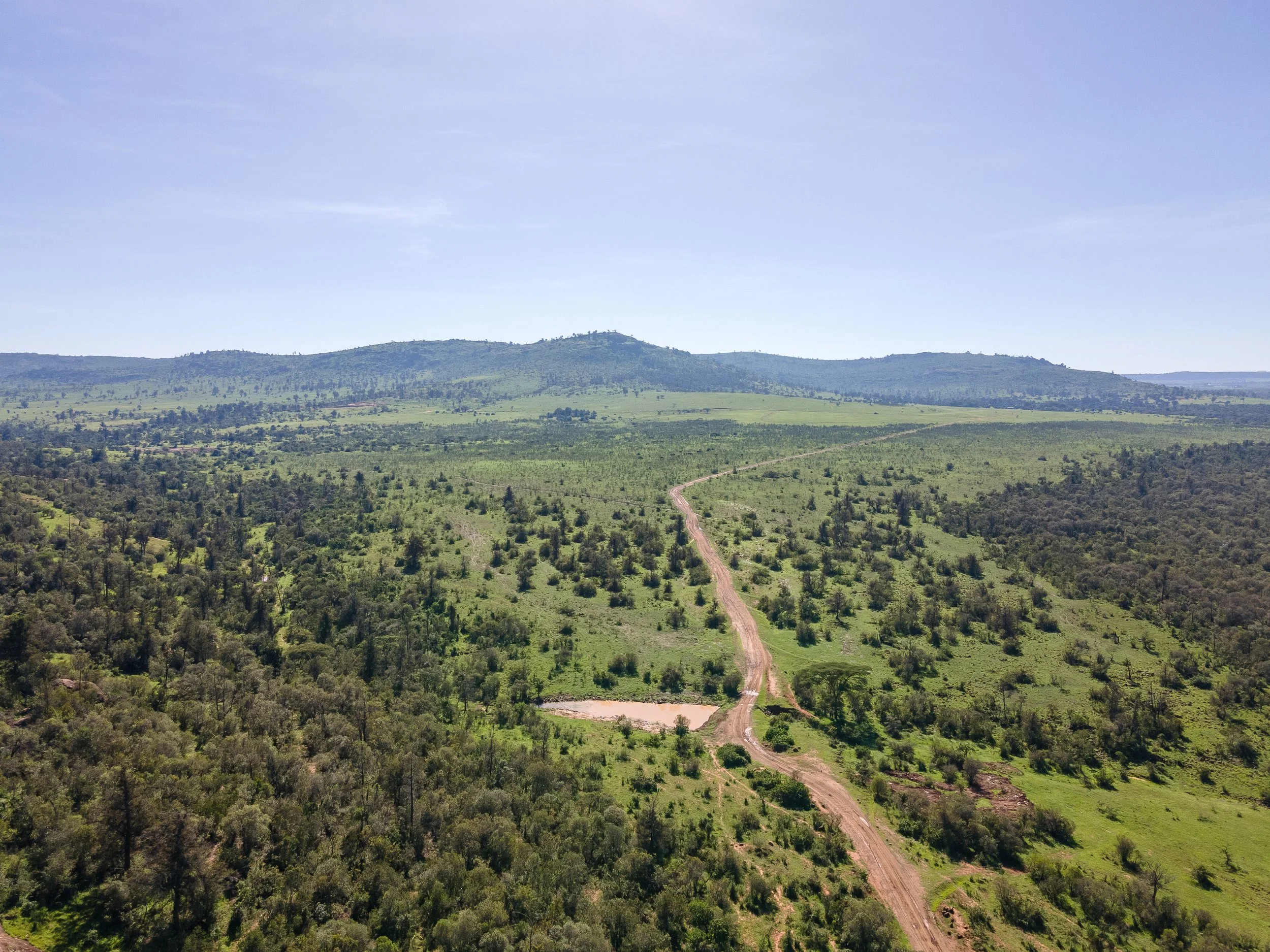 About — Lolldaiga Valley