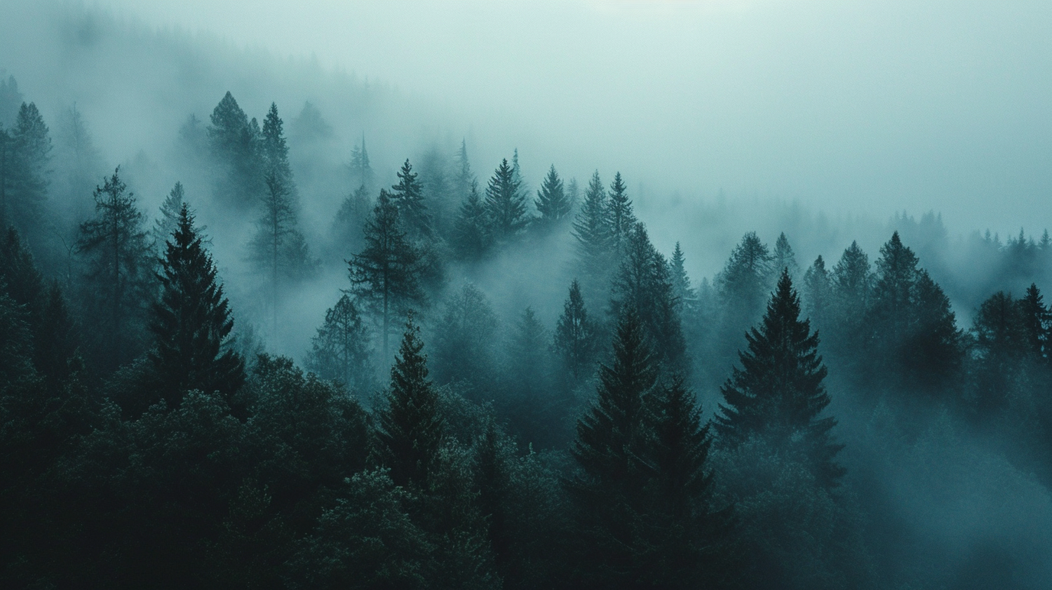 Dr. Nicholas A. Natale