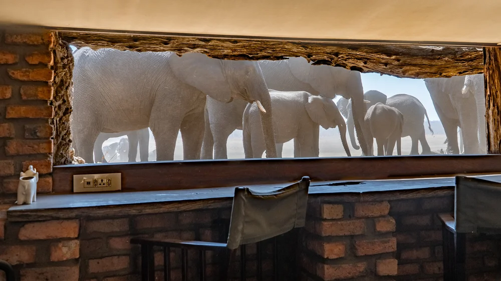 Book a Safari Vacation | Hwange | Amalinda Safari Collection