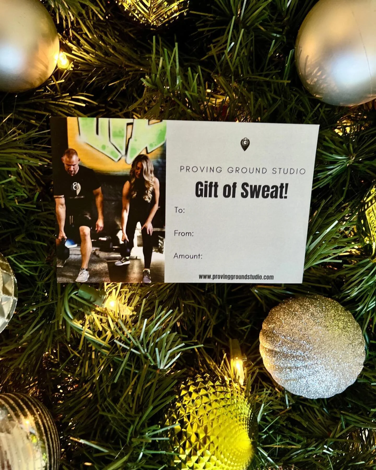 Fitness Class Schedule | Hull, MA — Proving Ground Studio | Functional ...