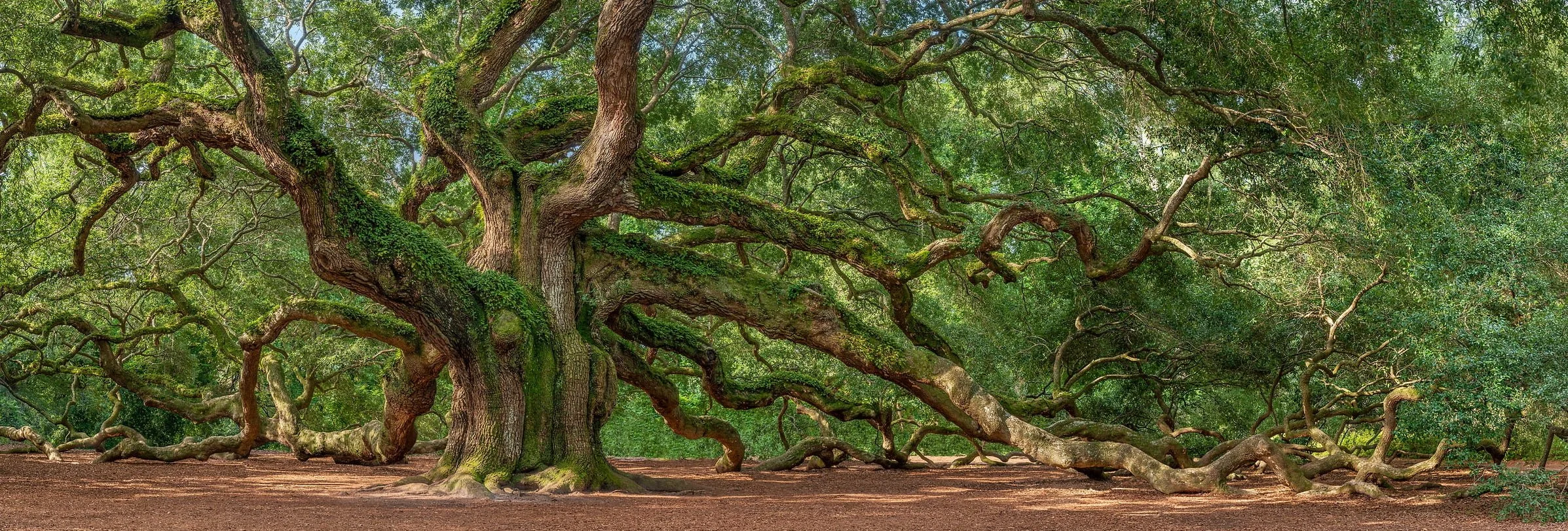 Dovetail Philanthropy