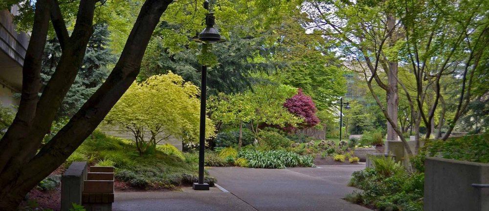 Capital Project — Freeway Park Association