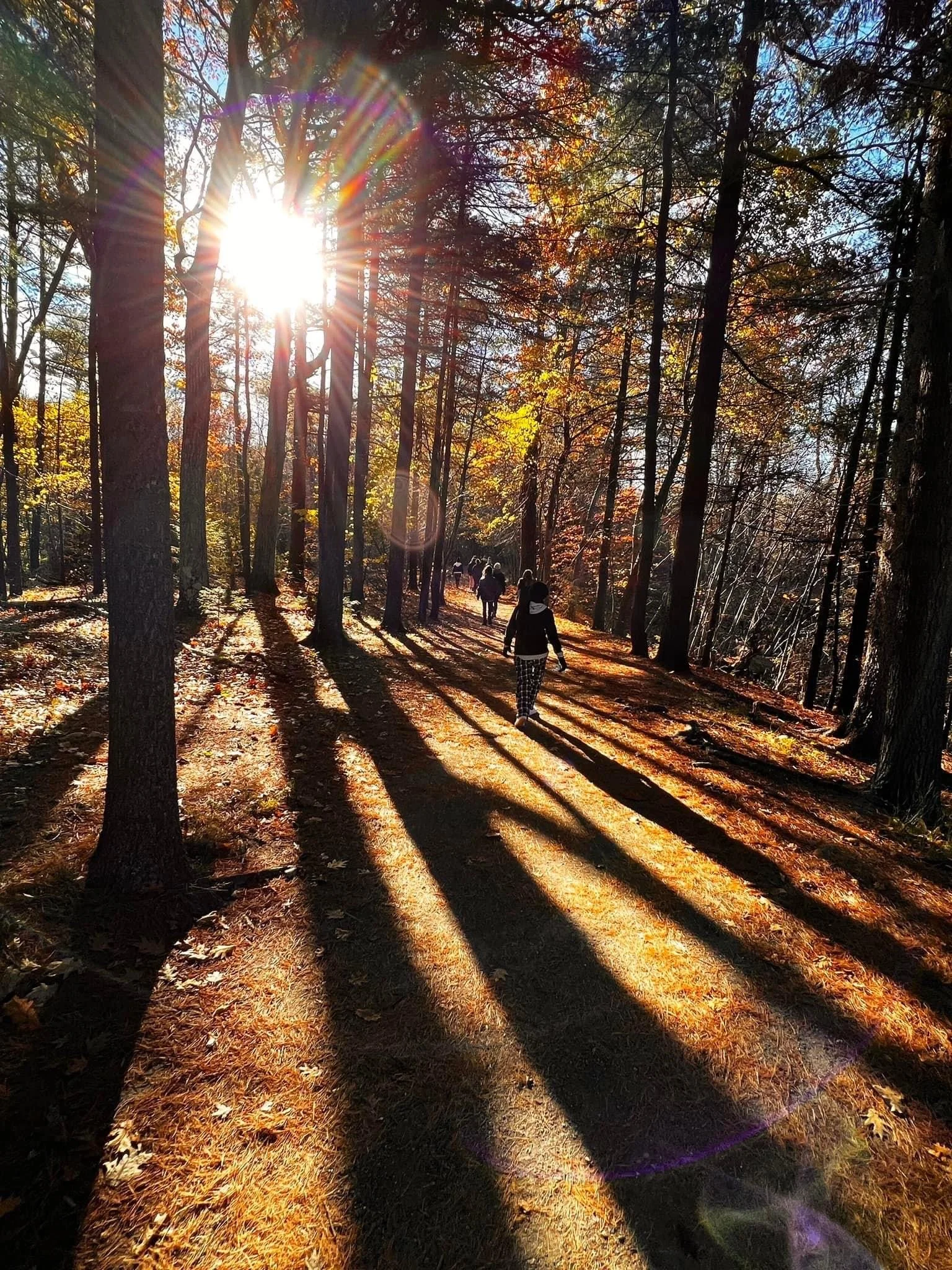 Services — Maine Recovery Collective