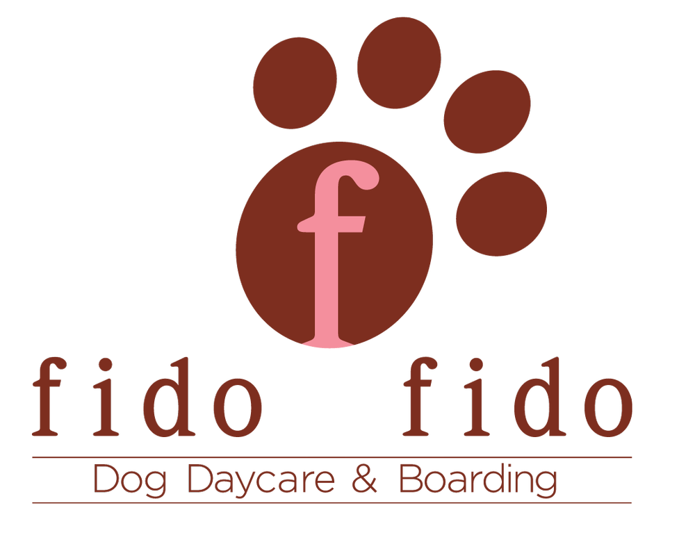 fido fido Dog Daycare and Boarding - Sandy Springs, Georgia