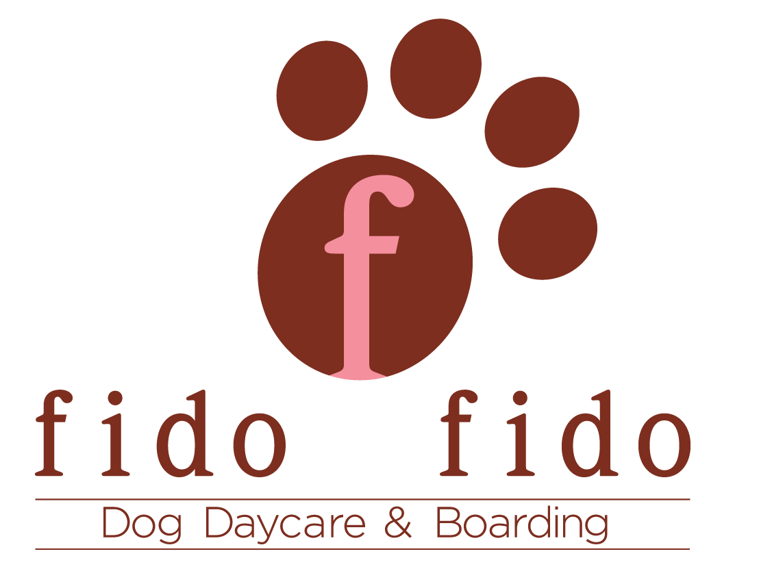 fido fido Dog Daycare and Boarding - Sandy Springs, Georgia