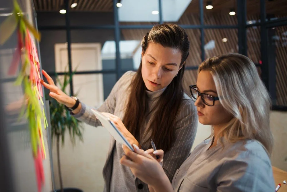 Project or Program Management? A Guide for Businesses — Prime 8 Consulting