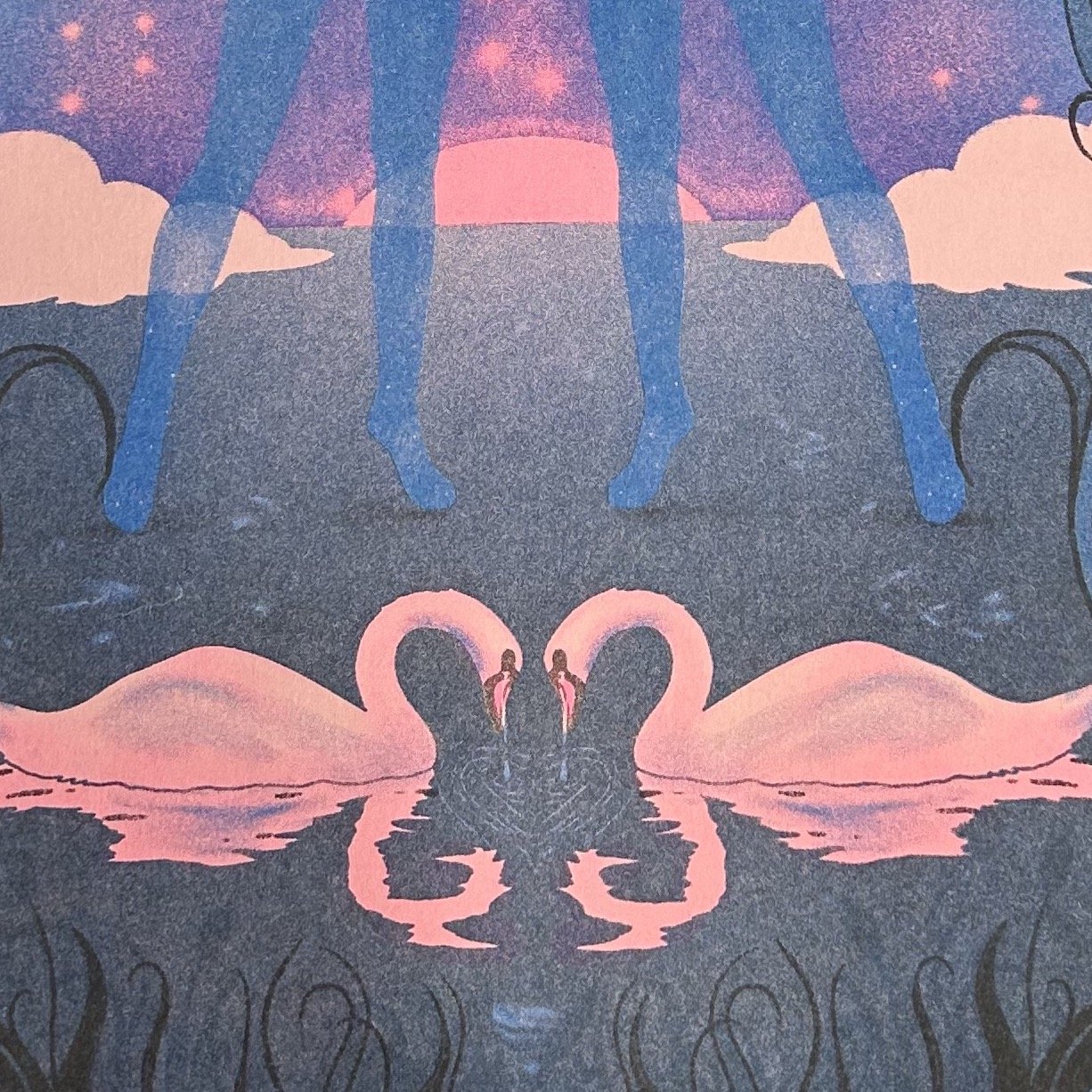 Shop — Pet Riso Studio