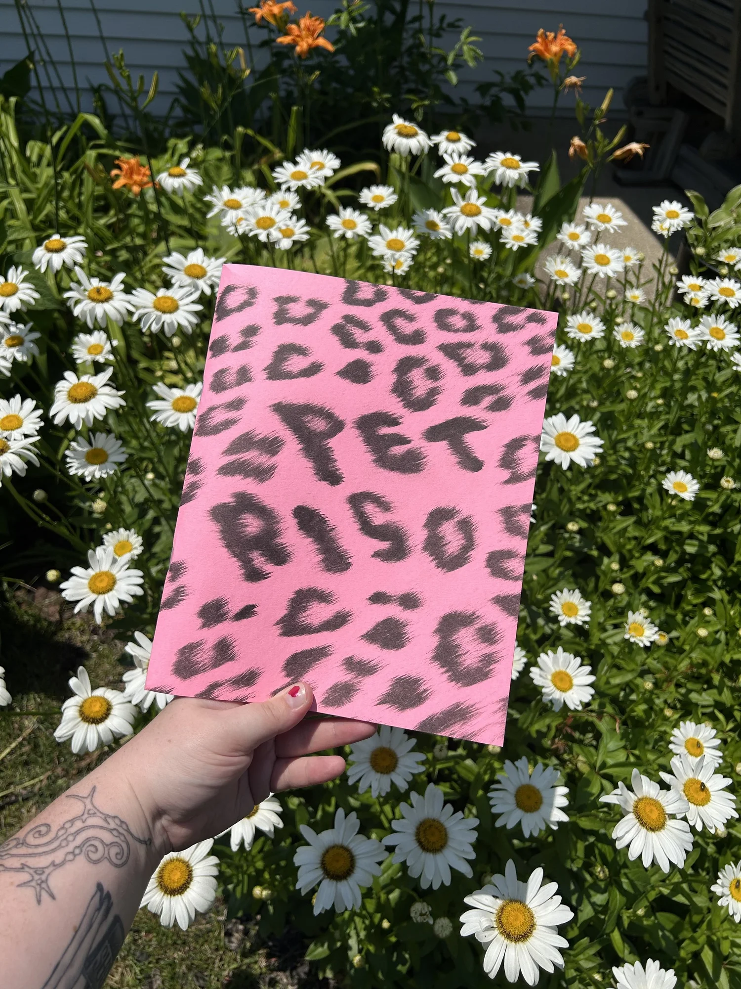 Shop — Pet Riso Studio