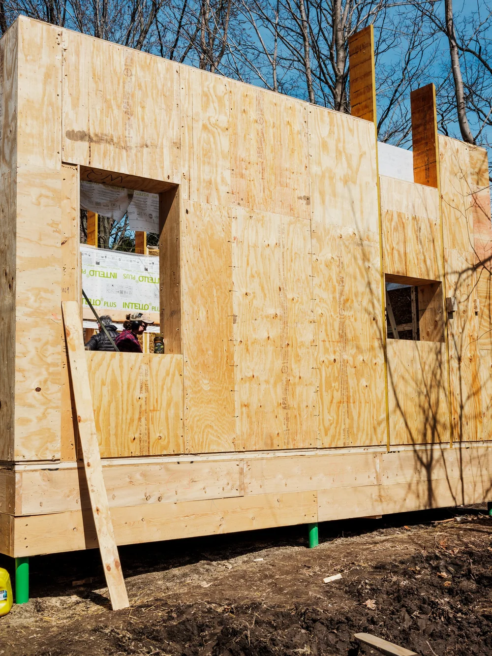Panels — New Frameworks