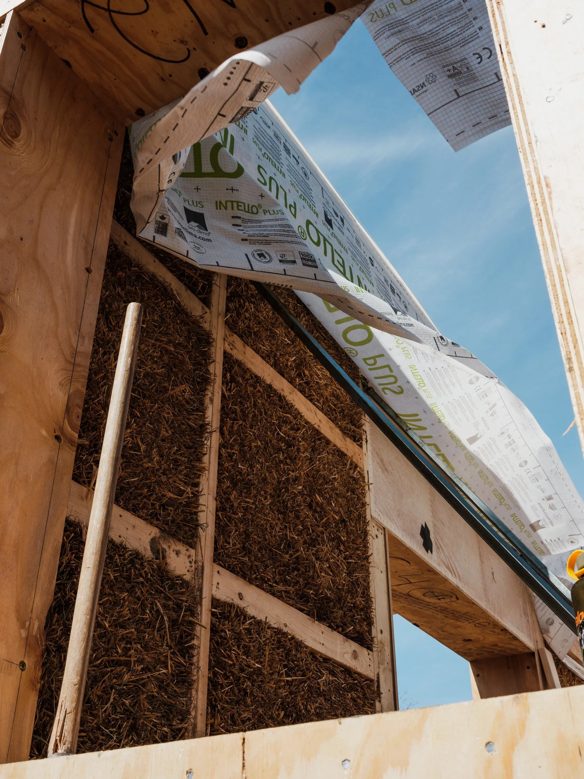 Panels — New Frameworks